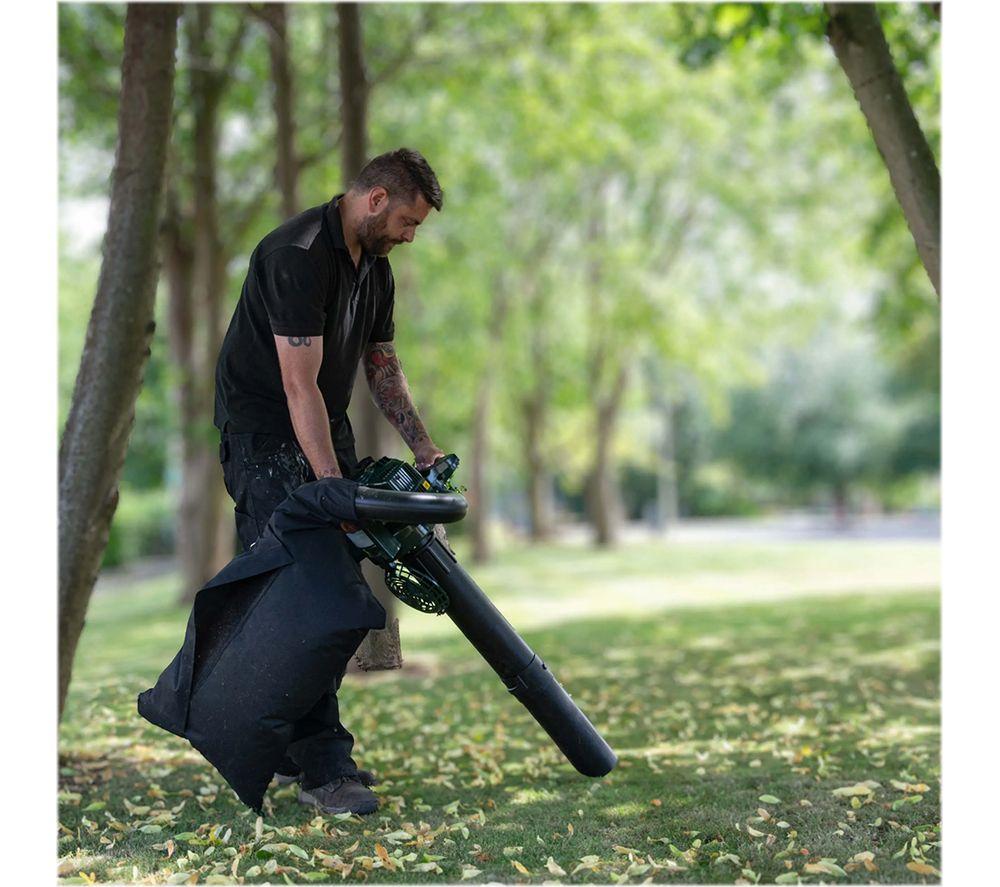 Webb leaf blower store