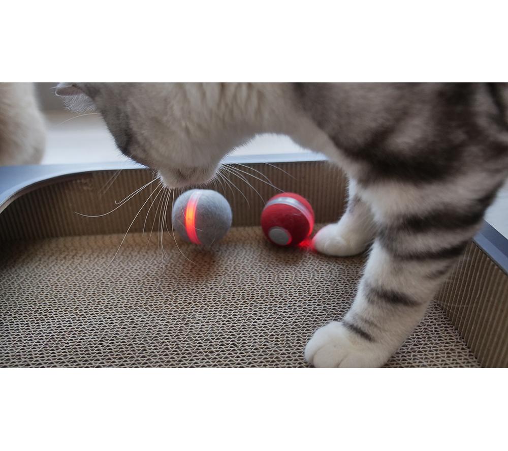Buy CHEERBLE M1 Smart Ball for Cats - Grey | CurrysIE