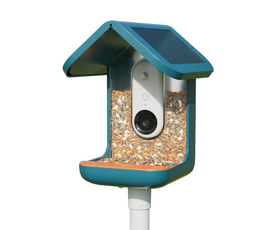 Buy BIRD BUDDY 2.0 Smart Camera Bird Feeder with Solar Roof - Blue ...