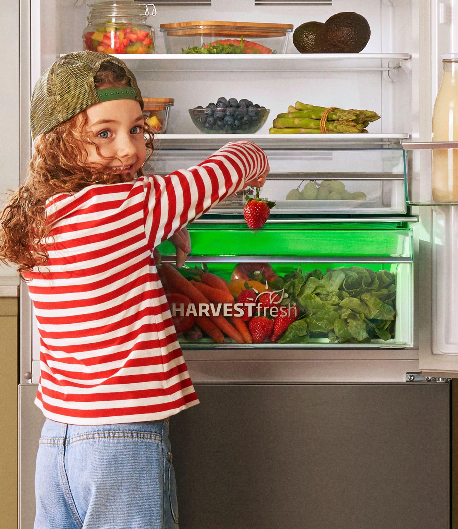 Beko Refrigeration Collection at Currys | Order online or collect in ...