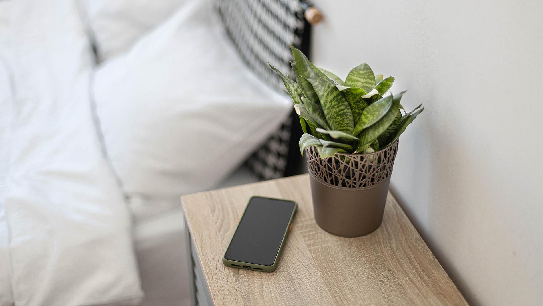 How to change the alarm sound on an iPhone | Currys