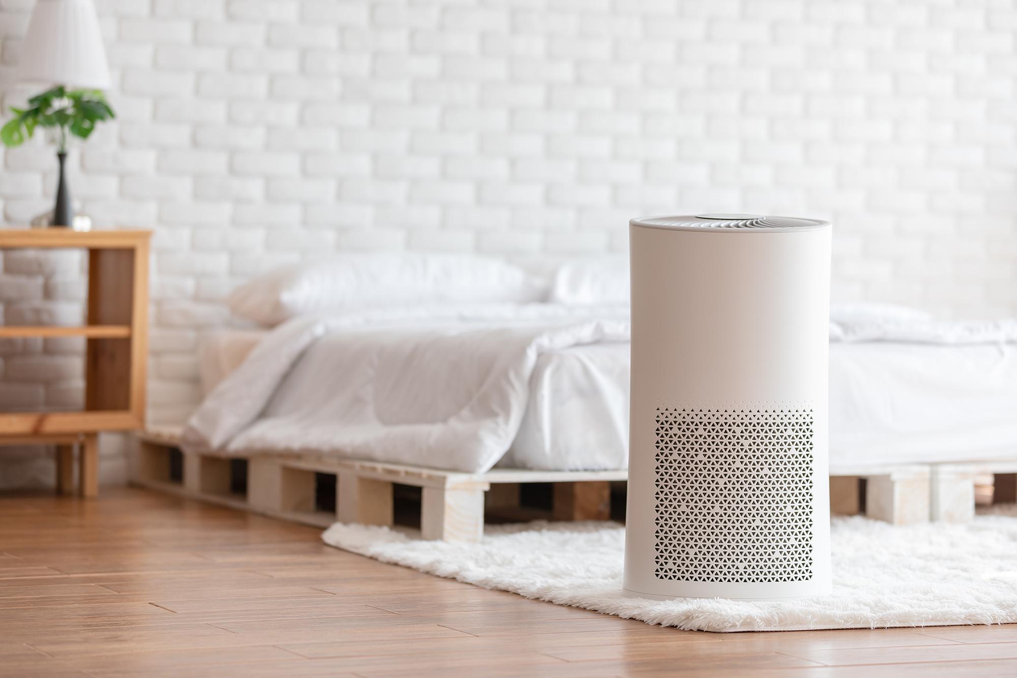 Air purifier vs. dehumidifier: which one is best for your home? | Currys